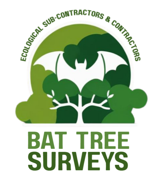 Bat Surveys for planning in Hertfordshire, Bedfordshire, Cambs